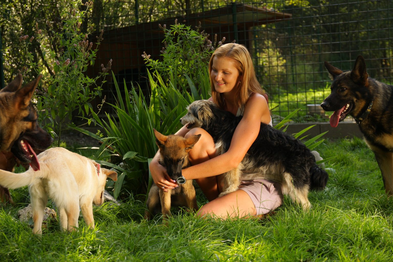 7 Ways to Make Money with Animals - Budget and the Bees