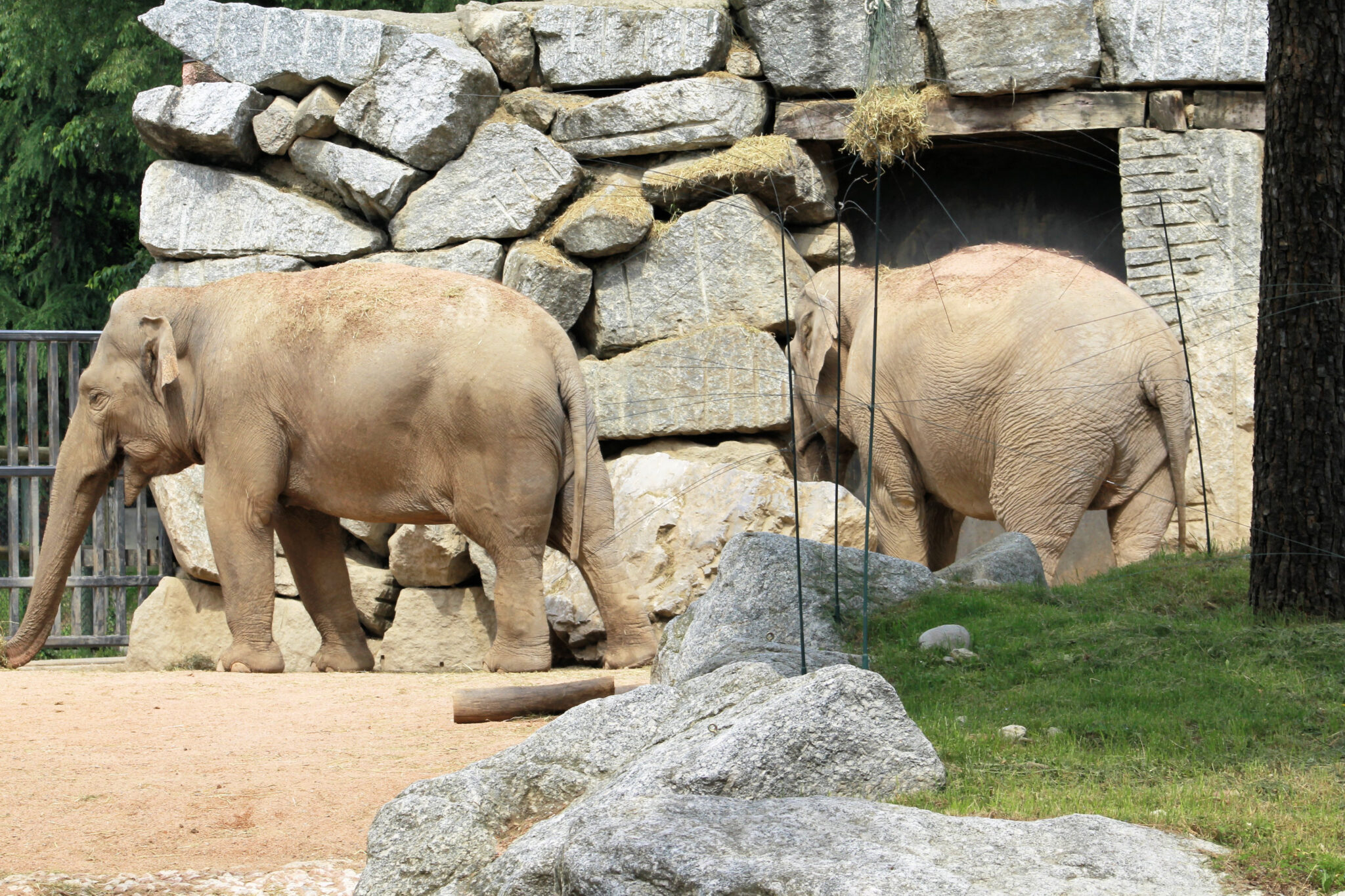The Ugly Truth About Zoos: 12 Reasons Why They’re More Harmful Than ...