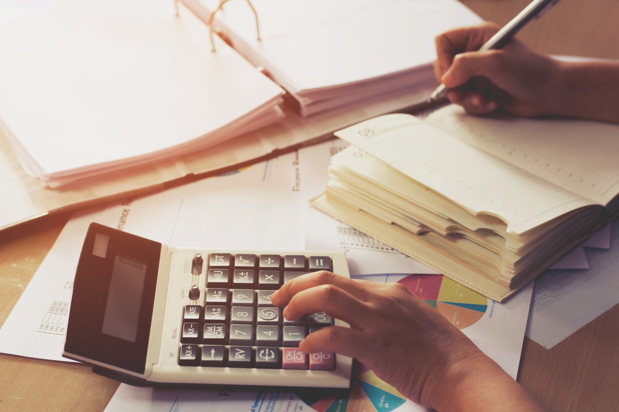 Home - Budget and the Bees