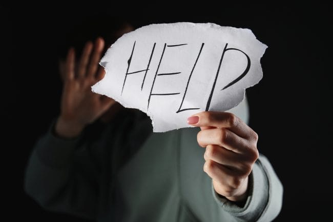 Asking for help PIC - Budget and the Bees