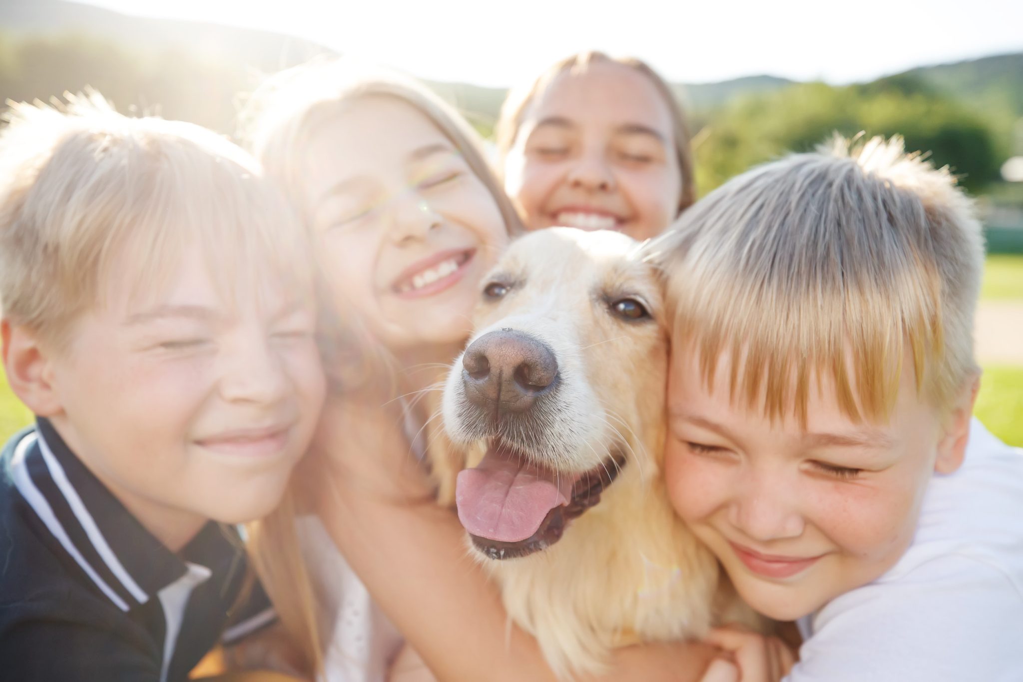 How Dogs Help With Emotional Regulation in Children
